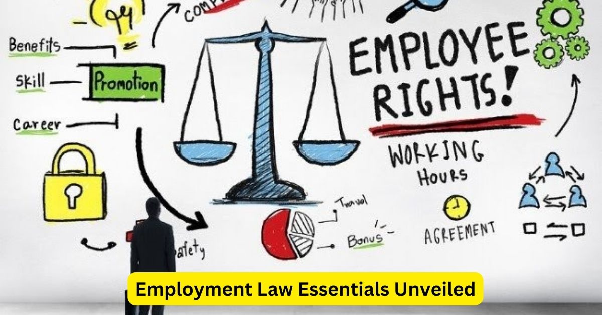 Navigating the Workplace: Employment Law Essentials Unveiled - lopyjobs